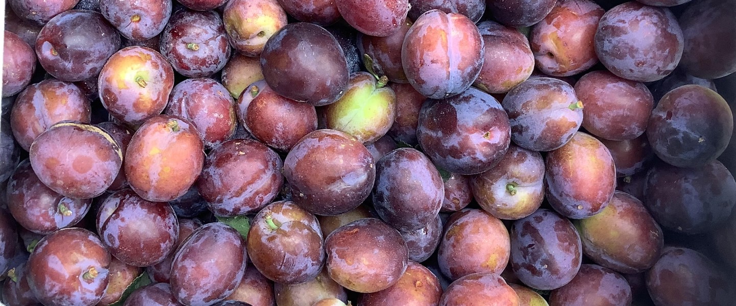 Farm Direct - organic food from British farmers