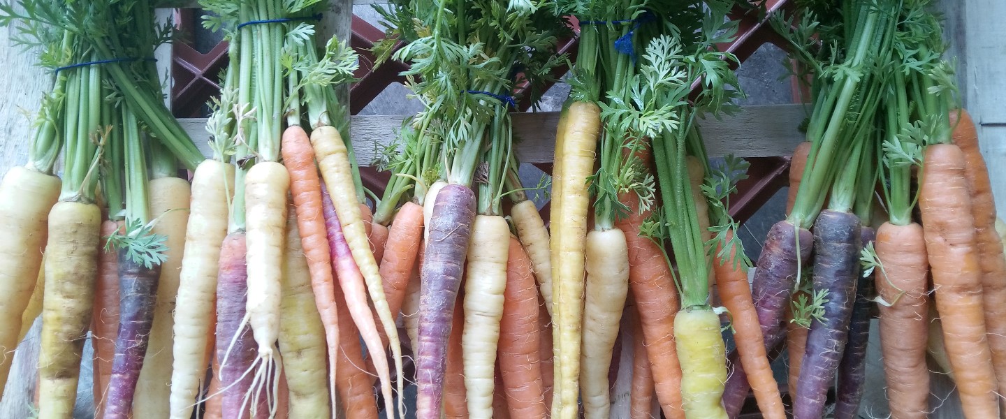 Farm Direct - organic food from British farmers