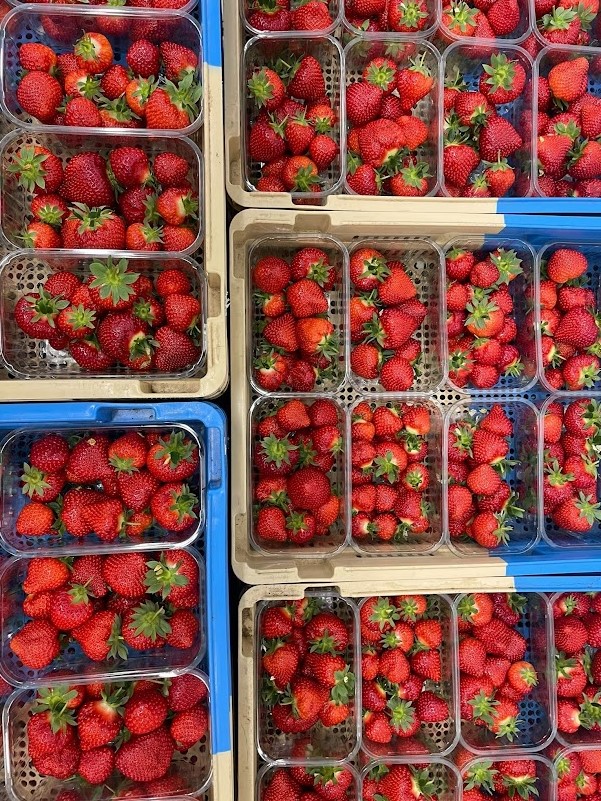 Farm Direct - organic food from British farmers