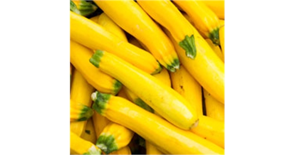 Yellow Courgettes. Farm Direct