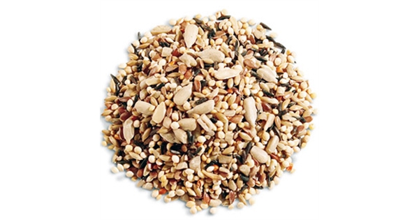 Breakfast Seed Mix. Farm Direct