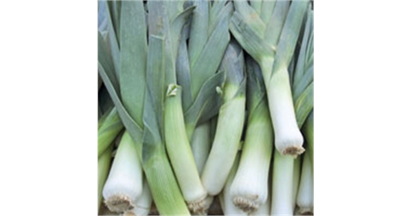 Leeks. Farm Direct