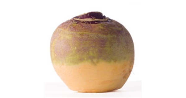 Swede. Farm Direct