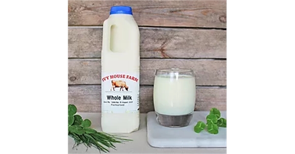 Full Fat Jersey Milk. Farm Direct