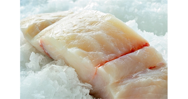 Halibut Loin Fillet. Farm Direct