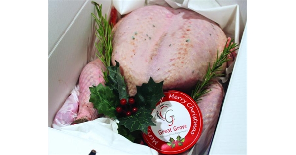 Bronze Thanksgiving Turkey. Farm Direct