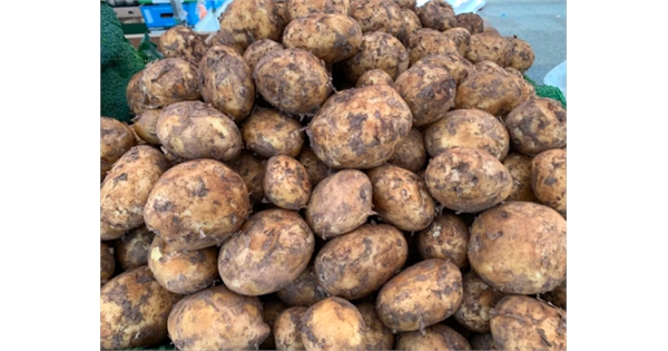 Wilja Potatoes. Farm Direct