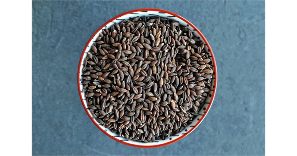 Black Barley, Wholegrain. Farm Direct